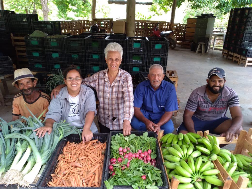 CSA Minas – contatoexclusivo